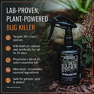 Dr. Killigan's Six Feet Under Non Toxic Insect Killer Spray | Indoor Natural Pest Control | Flea, Tick, Pantry & Clothing Moths, Ant, & Cockroach | Family Friendly, Pet Safe (24 oz)