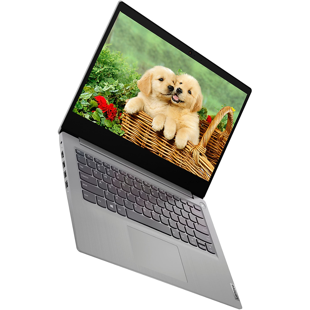 Newest Lenovo IdeaPad 3 14 Business Laptop, Intel Pentium Silver N5030 Processor, 14" HD Display, 4GB RAM, 128GB SSD, Wi-Fi, Webcam, HDMI, Windows 10 Home | 32GB Tela USB Card