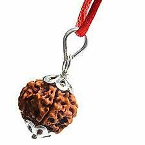 IndianStore4All 6 Mukhi Nepal Rudraksha Penadnt 100% Original Six Face Rudraksha