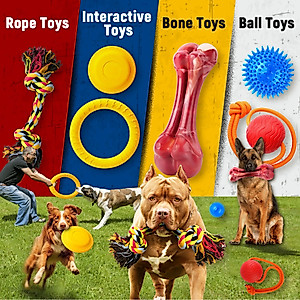 Zeaxuie Heavy Duty Various Dog Chew Toys for Aggressive Chewers - 9 Pack Value Set includes Indestructible Rope Toys & Squeaky Toys for Medium, Large & X-Large Breeds (for Energy Chewers)