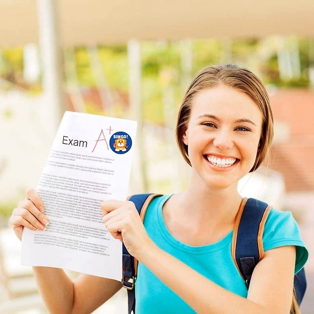 Stickers for Teachers Elementary Reward Stickers Motivational Stickers Teacher Stickers, Sticker Roll Teacher Supplies for Classroom Intermediate 900pcs Stickers for Kids in 12 Designs 1 inch