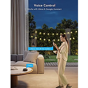 Govee Outdoor Smart Plug, 3-in-1 Compact Outdoor WiFi Bluetooth Plug, Conical Waterproof Design, 15A Outdoor Smart Outlet with Timer, Compatible with Alexa and Google Assistant, No Hub Required