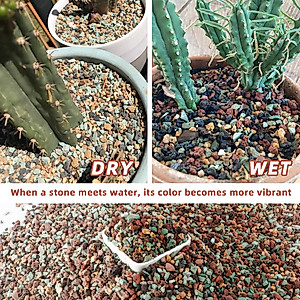 2.4lb Mix Horticultural Lava Rock Pebbles Pumice Potting Soil Amendment Succulent Cactus Bonsai Gritty Rock Decorative Gravel Plant Drainage Volcanic Rock for Aquarium Fairy Gardening Top Dressing