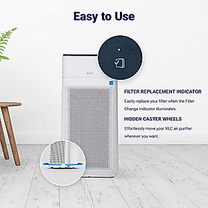 Winix XLC Dual 4-Stage True HEPA Air Purifier with WiFi & PlasmaWave Technology, 620 sq ft & 1022-0214-00 Wi-Fi Air Purifier, 360sq ft Room Capacity, Amazon Alexa and Dash Replenishment Enabled