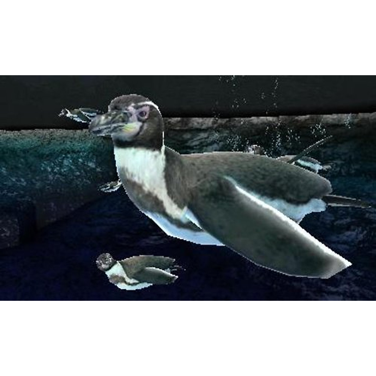 Animal Resort: Dobutsuen o Tsukurou!! [Japan Import]