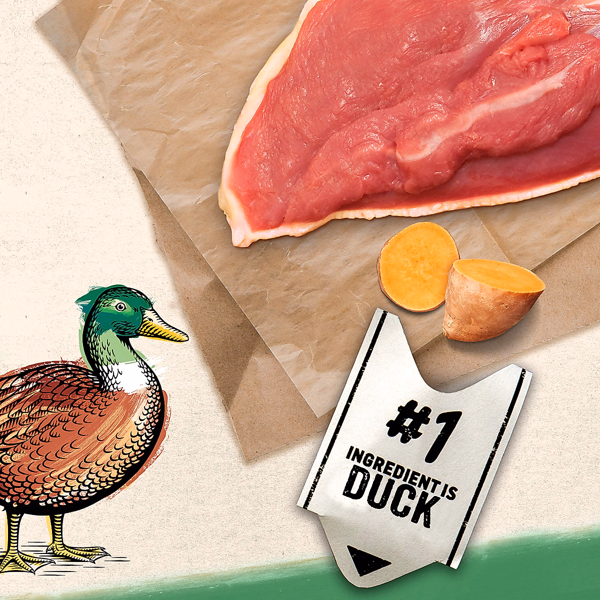 Purina Beyond Grain Free Canadian Duck and Sweet Potato Recipe Wet Cat Food Pate - (Pack of 12) 3 oz. Cans