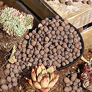 Expanded Clay Pebbles 1 qt, 8mm-14mm Clay Balls for Plants, Organic Plant Grow Media, Porous Stones for Hydroponics, Drainage, Decoration, Aquaponics, and Other Gardening Essentials