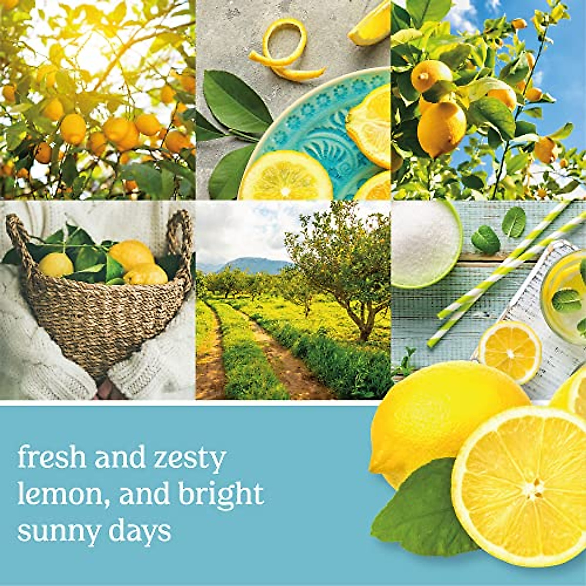 Yankee Candle Sicilian Lemon Scented, Classic 22oz Large Jar Single Wick Candle, Over 110 Hours of Burn Time