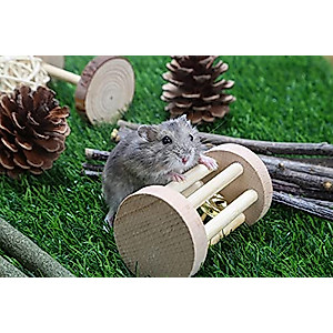 PD Hamster Chew Toys for Teeth, Natural Wood Dumbbells Exercise Bell Roller Molar Toys for Rabbit Bunny Chinchilla Guinea Pig Gerbils Groundhog Squirrels (Style 1)
