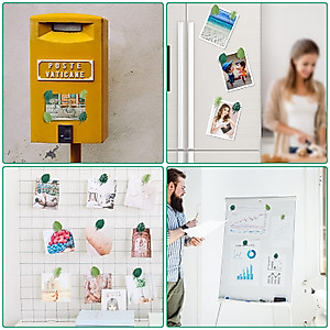 8pcs Plant Fridge Magnets, Aesthetic Leaf Fridge Magnets Mini Tropical Refrigerator Magnets Cute Fridge Magnets Monstera Plant Decor for Locker Fridge Home Office (4 Styles)