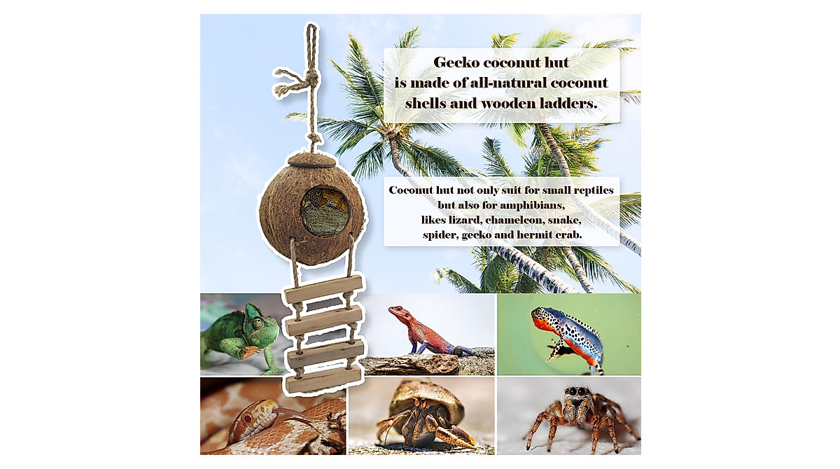 MUYG 6PCS Crested Gecko Coconut Hut for Pets
