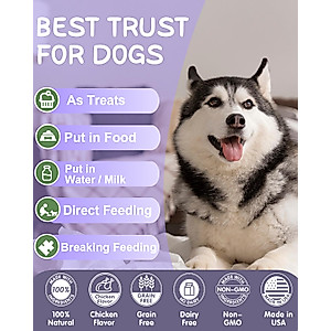 15 in 1 Dog Multivitamin Supplement - Dog Vitamins for Immune System, Digestion, Hip & Joint, Skin & Coat - Multivitamin Chews for Dog with Glucosamine & Chondroitin - Chicken Flavor, 120 Chews