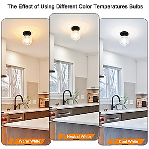 DSMJFU Black Semi Flush Mount Ceiling Light, Small Hallway Light Fixture, Vintage Close to Ceiling Light Fixture for Bathroom, Entryway, Foyer, Closet