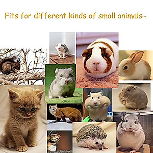 Small Animal Play Tunnel, Durable Resistant Plastic Guinea Pigs Tube, Fun Pet Tunnel Hideway for Guinea Pigs Chinchillas Rats and Dwarf Rabbits