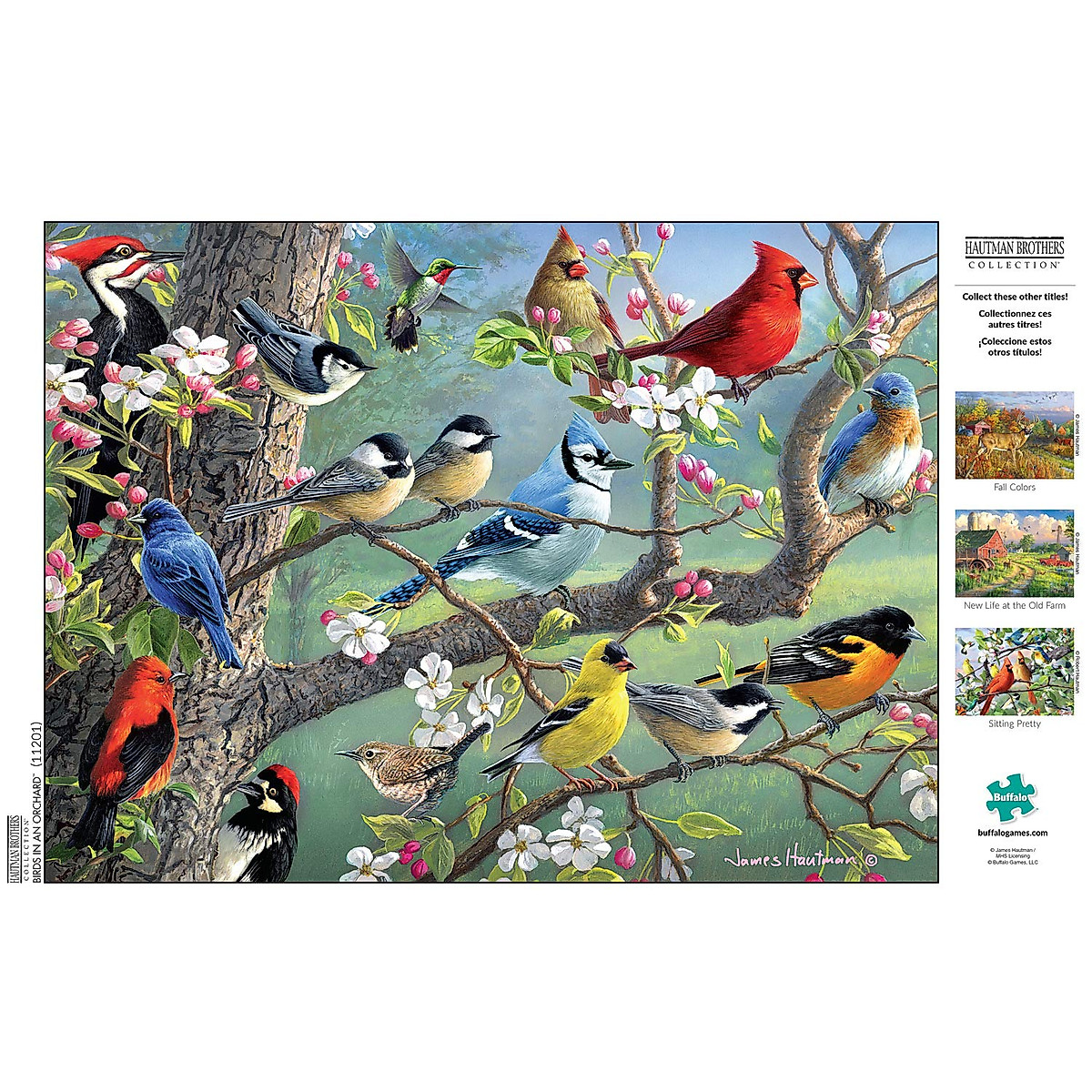Buffalo Games - Hautman Brothers - Birds in an Orchard - 1000 Piece Jigsaw Puzzle