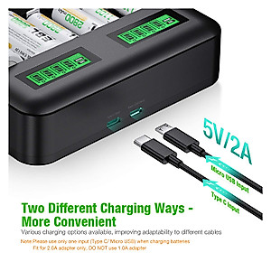 EBL LCD Rechargeable Battery Charger - 8 Bay AA AAA C D Battery Charger for Rechargeable Batteries Ni-MH AA AAA C D Batteries with 2A USB Port, Type C Input