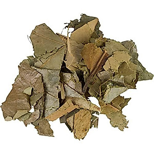 Graviola Tea 25 Teabags of Natural Soursop Leaves or Hojas de Guanabana from Peru – Herbal Tea te guyabano