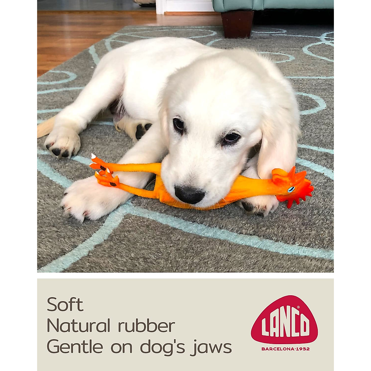 Rubber Chicken Dog Toys - Natural Rubber (Latex) - Small Breeds Puppies Lead-Free Chemical-Free - Handpainted - Soft Unstuffed Squeaky (Small)