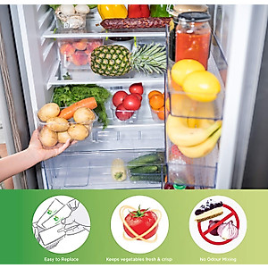 Natural Filters Air Filter, Produce Preserver (6-Pack Bundle) - Refrigerator Replacement Parts