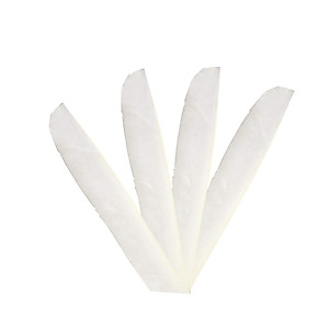 ZSHJGJR 50 Pack Archery Arrow Spiral Twist Wrap Full Length Feathers Left Wing Feathers Fletches Fletching (8-11inch) for Flu-Flu Arrows (White)