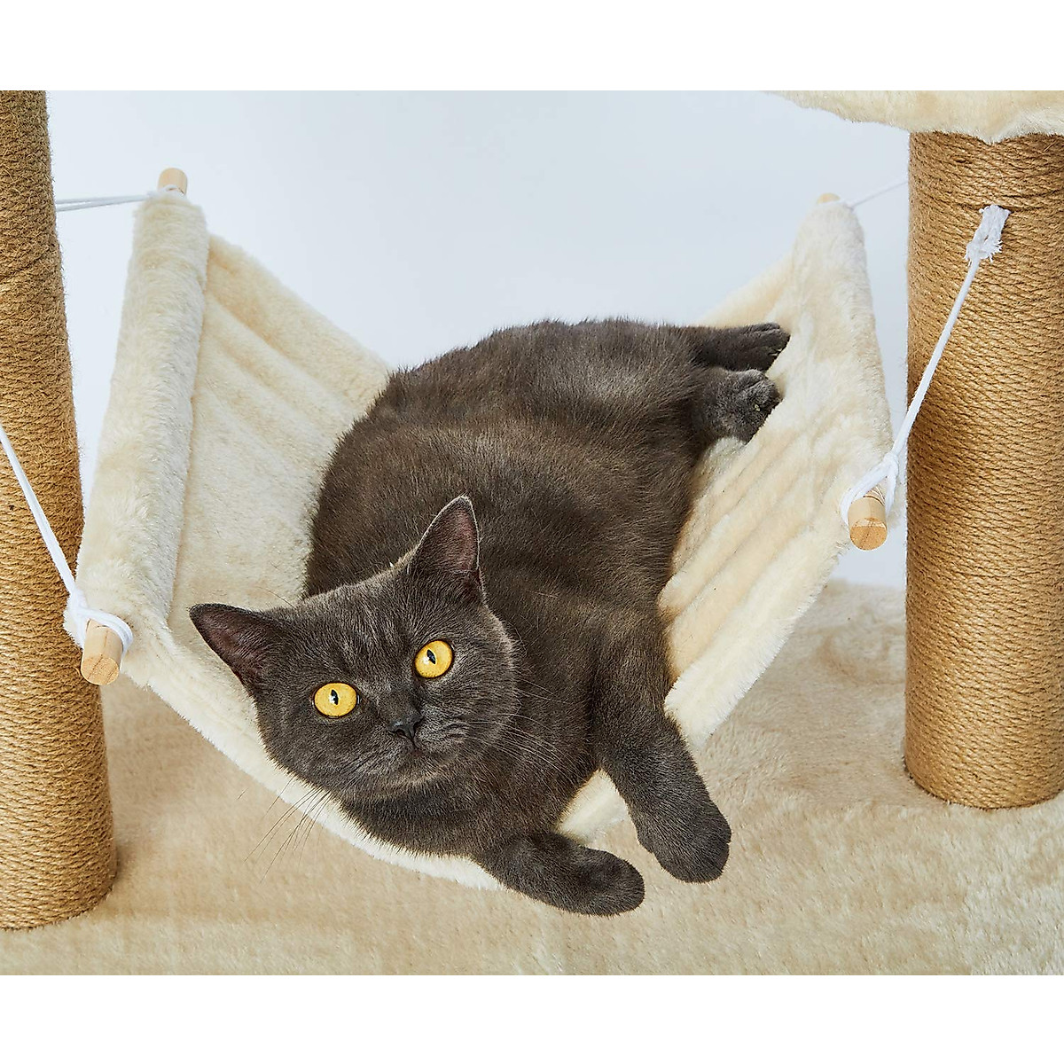 LUCKITTY Small Cat Scratching Posts Kitty Coconut Palm Tree-Cat Scratch Post for Cats and Kittens - Natural Jute Sisal Scratch Pole Cat Scratcher (Post &Hammock)