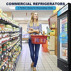 FreezLabs Glass Door Refrigerator Commercial Beverage Refrigerators with LED Light, 12 cu.ft and 5 Shelves, Display Refrigerator for Cafe Restaurant Store Bar, ETL/NSF Approved