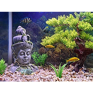 PTFJZ Aquarium Decorations Fish Tank Buddha Decor Suitable for Betta Cichlids Hide Rest Lizard Turtle Reptile Decoration Create an Exotic Zen Fish Tank Decorations