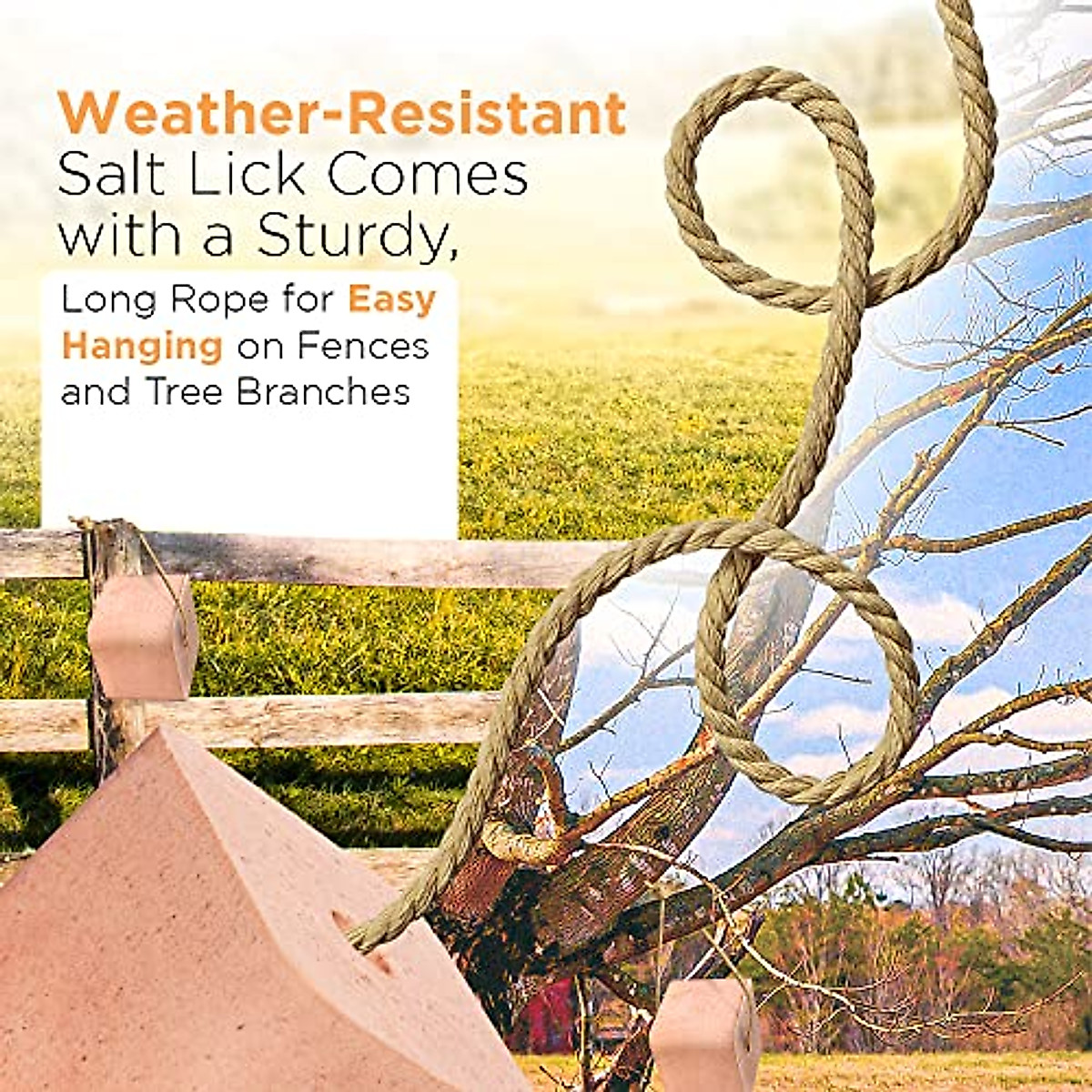 UMAID Compressed Pink Himalayan Salt Lick, [2 Pack] – 5.5 Lb. 100% Natural Himalayan Salt Block with Hanging Rope Helps Replace Lost Electrolytes for Deer, Horse, Cow, Goat, Pigs, Wild Animals & Pets