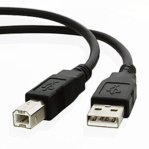 RiteAV 6 inch USB 2.0 A Male to B Male Cable - Black