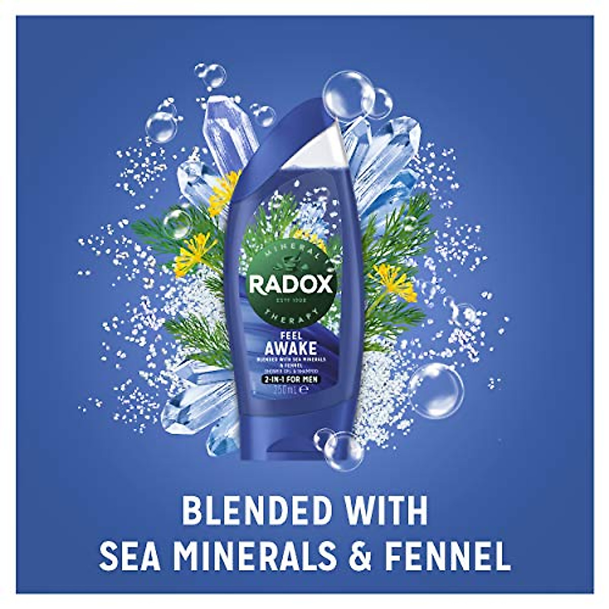 Radox Feel Awake Fragrance 2-in-1 Shower and Shampoo 250 ml - Pack of 6