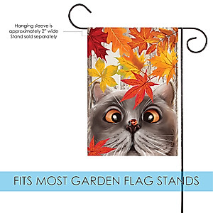 Toland Home Garden 1112655 Fall Cat and Ladybug Fall Flag 12x18 Inch Double Sided for Outdoor Cat House Yard Decoration