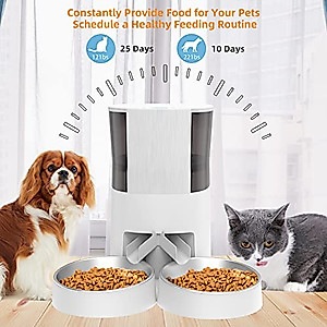 HoneyGuaridan Automatic Cat Feeder for 2 Cats&Dog, Pet Food Dispenser Timed Cat Feeder, Portion Control, Distribution Alarms and Voice Recorder 1-6 Meals per Day - 2 Stainless Steel Bowl