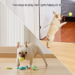 CZPET Puppy Toys 6PCS Set Puppy Chase Toys Pet Automatic Elastic Hanging Rope Door Interactive Energy Jump Exercise Toys Tennis Ball Knot Ring Chew Busy Dog Puppy Toys
