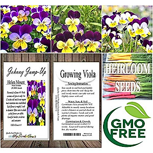 MySeeds.Co Big Pack - Johnny Jump Up Flower Seeds (20,000 Seeds) - Viola cornuta 'Helen Mount' - Edible Flower Seeds (Big Pack - Johnny Jump Up)
