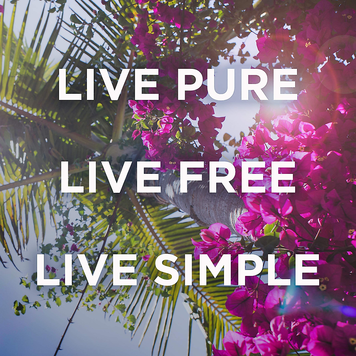 Petal Fresh Pure Pomegranate & Acai,Conditioner, Pure Color Protection, Natural Essential Oils Vegan and Cruelty Free, 16 Fl oz