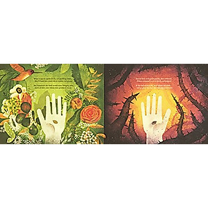 Seeds and Trees: A children's book about the power of words