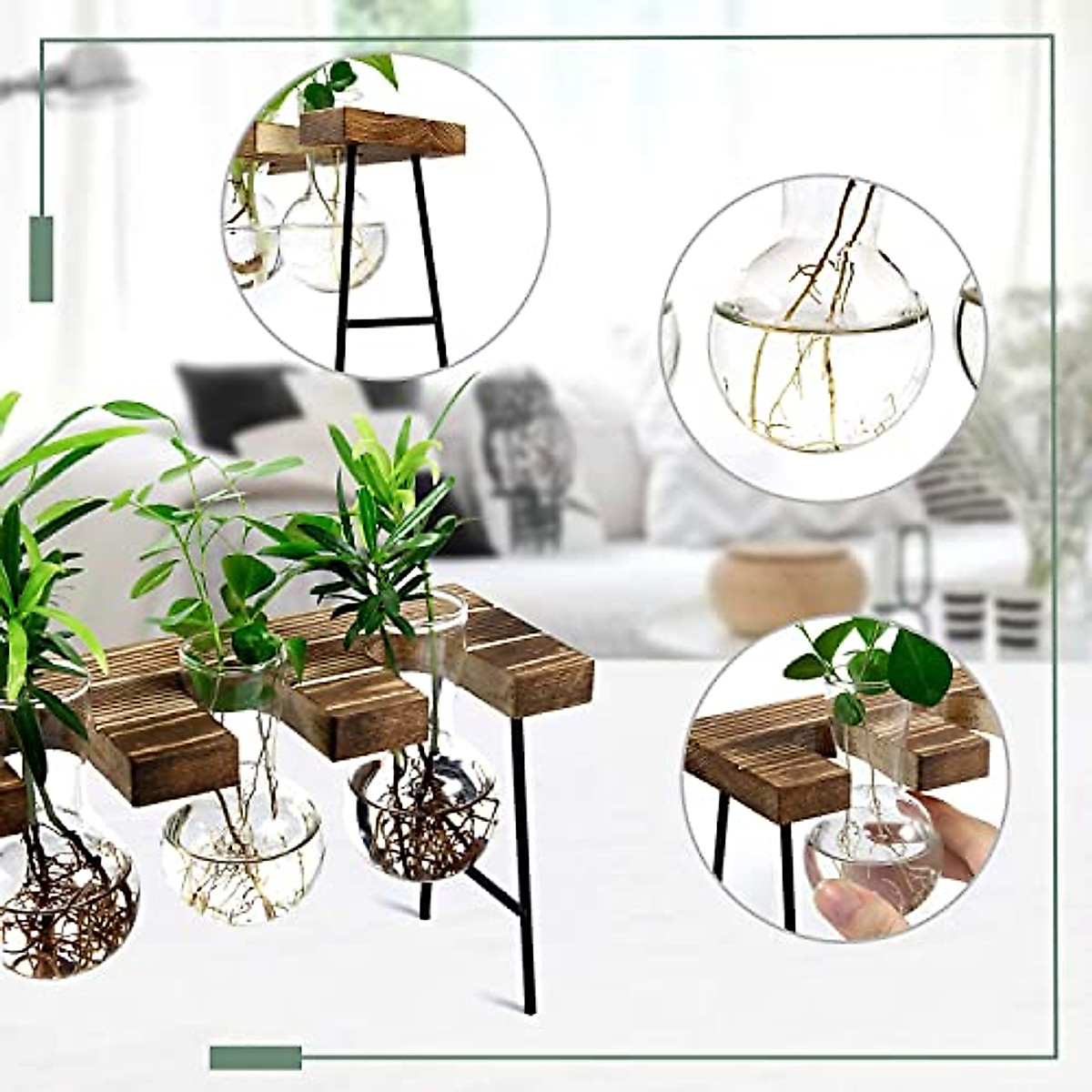 LESES Plant Propagation Stations Desktop Air Plant Terrarium, Glass Planter Bulb Glass Vase with Wood Stand Propagation Station for Hydroponics Plants Home Office Garden Decor