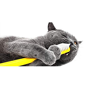 I LOVE MY PETS LLC Oral Care for Cats - CAT Teeth Health Complex - Advanced Care Formula - cat Vitamin c - 180 Treats (3 Bottles)