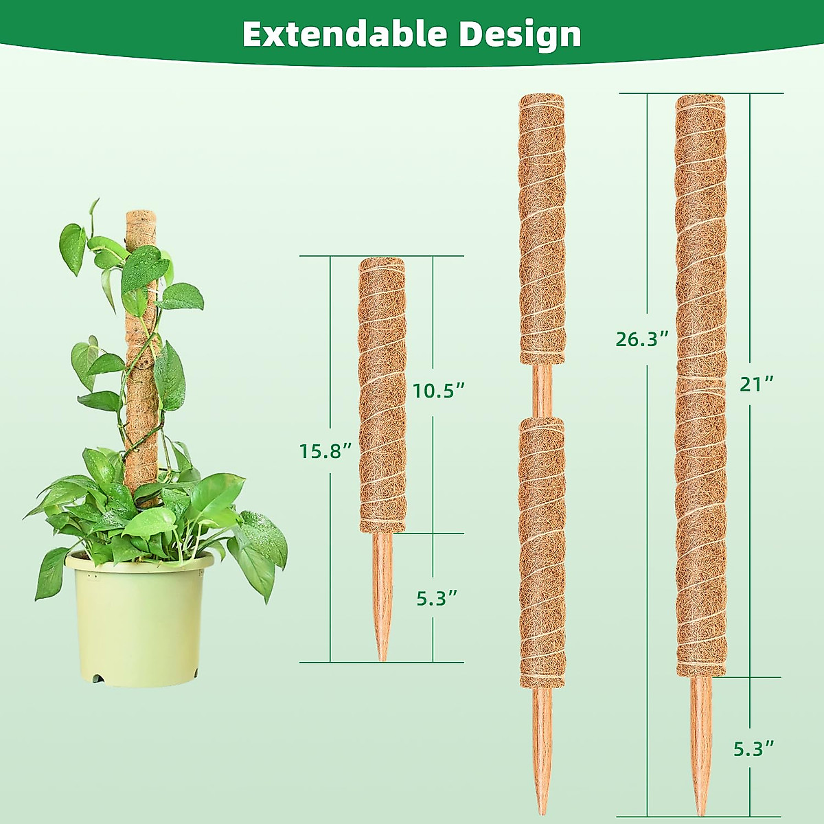 Moss Pole for Plants, 4 Pack Moss Poles for Climbing Plants, Monstera Coir Totem Pole, 15.8 Inch Moss Sticks for Plant Support, Indoor Potted Plants Train Creeper Plants Grow Upwards