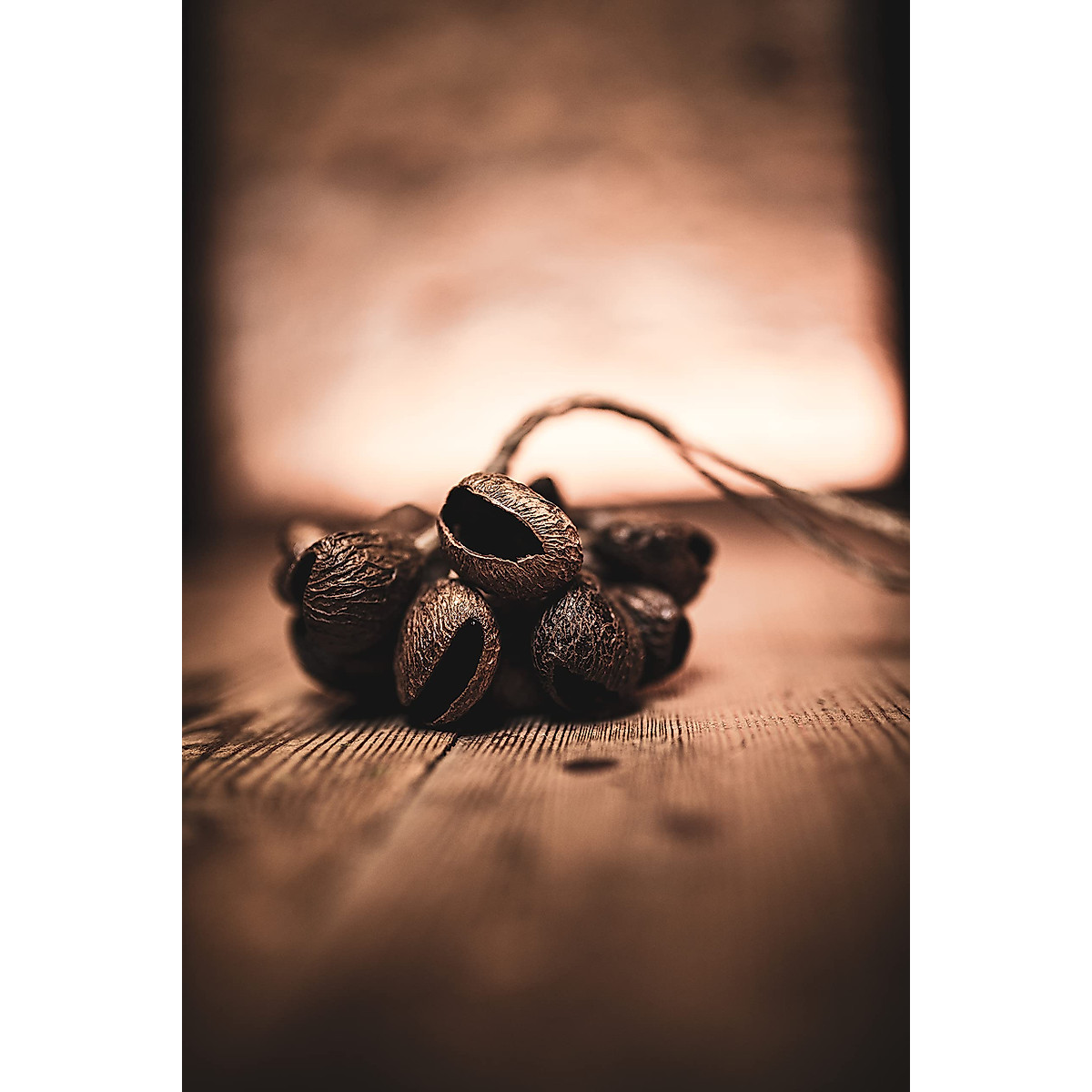 Meinl Sonic Energy Seed Shell Shaker Percussion Instrument — Nature Sounds for Meditation, ASMR, Sound Therapy, Yoga