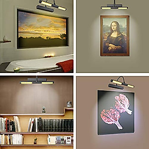 LUXSWAY Wireless Painting Light with Rotatable Light Head for Wall Art, Pictures,Painting,Artworking Display, Remote Control, Dimmable and Timer Off,Battery Operated-Black