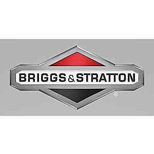 Briggs & Stratton 691029 Lawn & Garden Equipment Engine Hex Nut Genuine Original Equipment Manufacturer (OEM) part