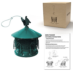 Bird Feeders for Outdoors Hanging, Way2Furn Wild Bird Feeder Squirrel Proof, Adjustable Metal Outside Feeder with 3.8 lbs Seed Large Capacity for Cardinal, Sparrow, Finch, Chickadee (Green)
