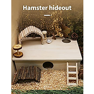 Rubor Multi-Chamber Hamster House Maze, Hamster Hideout Small Pets Woodland House Habitats Decor, Hamster Tunnels Activity Hamster Burrow for Hamster Mice Gerbils Lemming