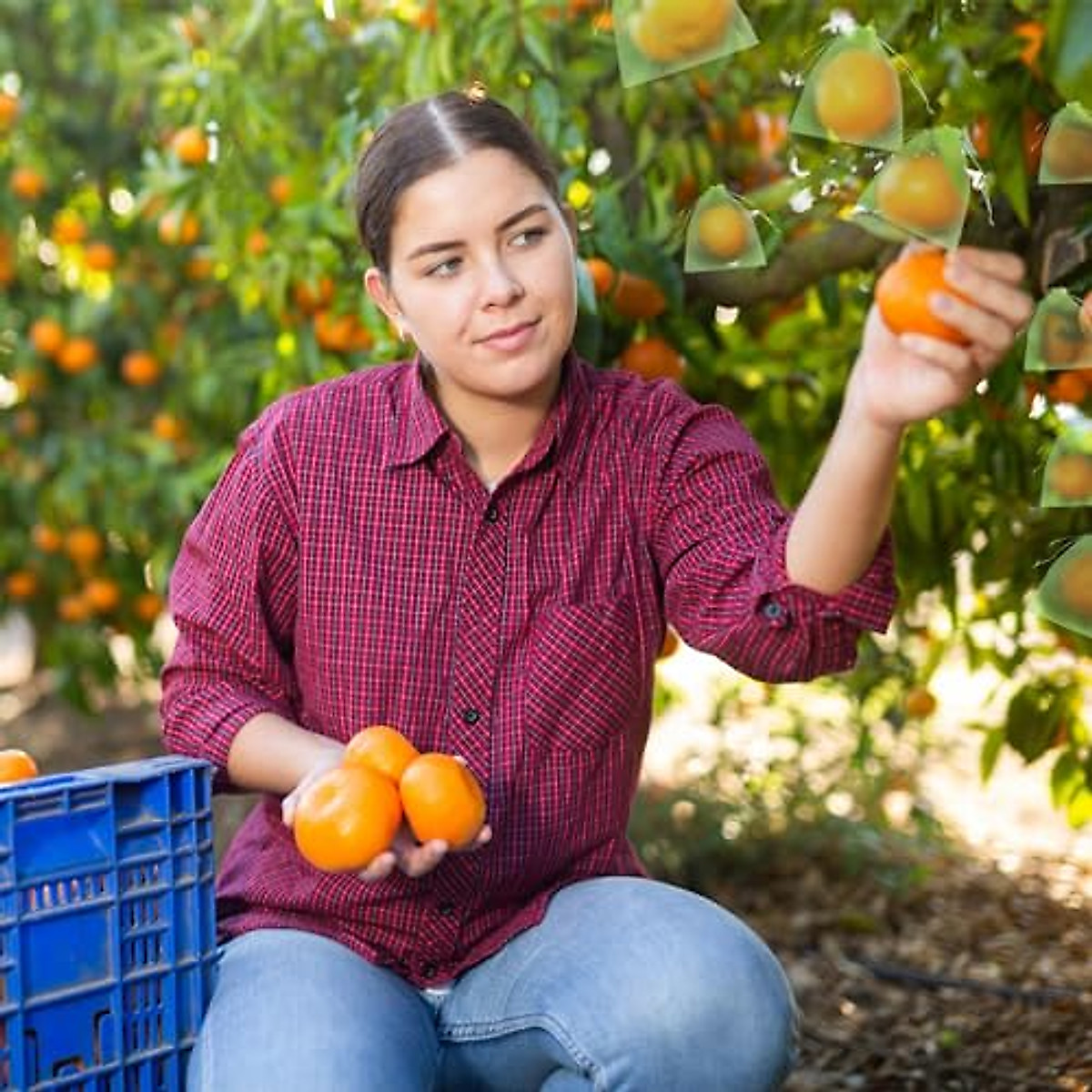 June Fox 50 Pcs Fruit Protection Bags 6x9 inch, Fruit Netting Cover Bags with Drawstring, Mesh Fruit Protectors Barrier Bags for Mangoes Tomatoes Fruit Trees Veggies Garden (Green)