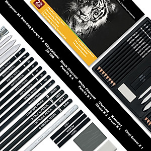 Charcoal Pencils for Drawing, Set of 22, Professional Drawing Sketch Pencils, Art Supplies for Drawing, Sketching, Shading, Artist Pencils for Beginners & Pro Artists.