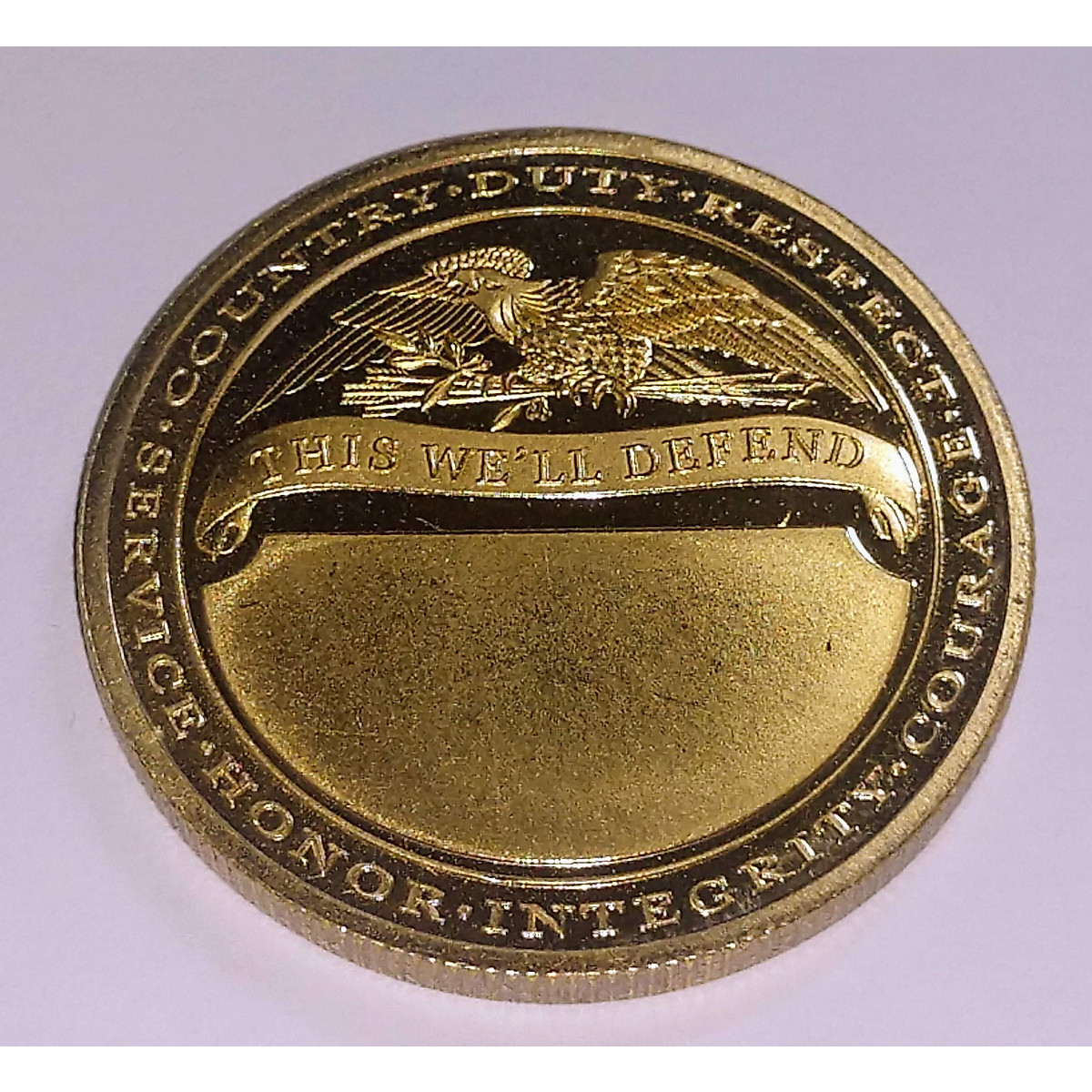Taking Aim on Terror OEF OIF Veterans Military Challenge Art Coin