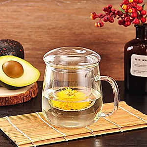 WHJY Glass Tea Cup with Infuser and Lid, 18 ounce Glass Tea Cups with Strainer, Loose Leaf Tea Cup Mug for One, Lead-free Borosilicate Glass Teacups, Heat Resistance, Microwave & Dishwasher Safe