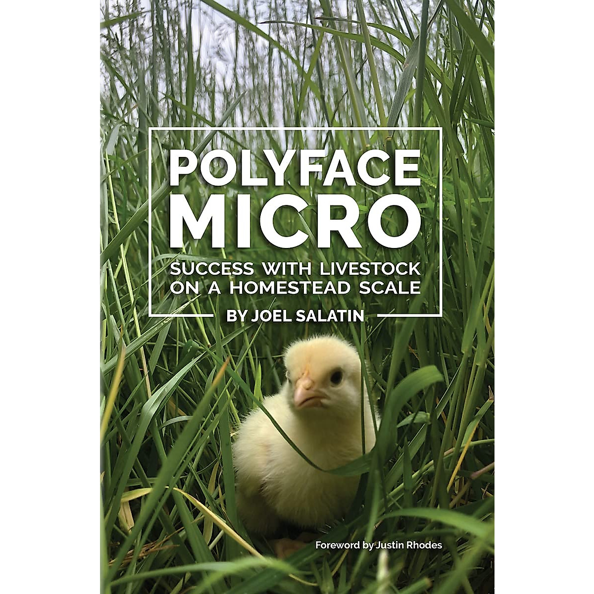 Polyface Micro: Success with Livestock on a Homestead Scale