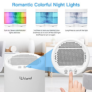 Portable Dehumidifier